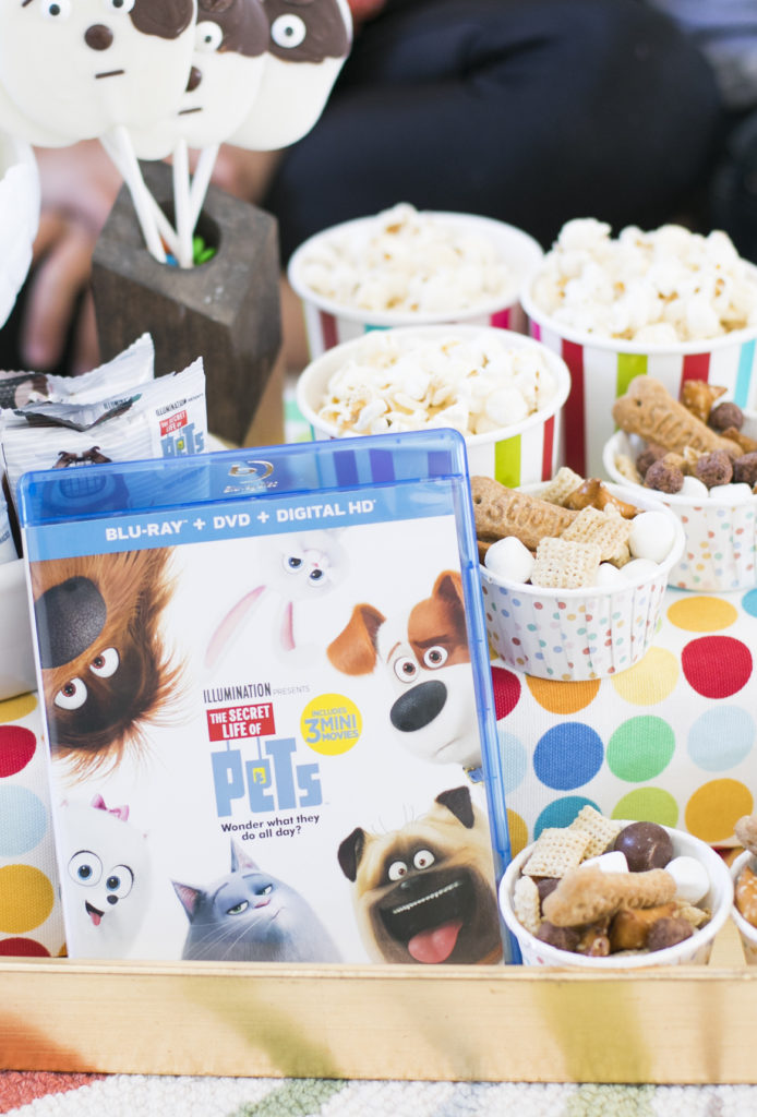 Family Movie Night Ideas | The Secret Life of Pets | Armelle Blog